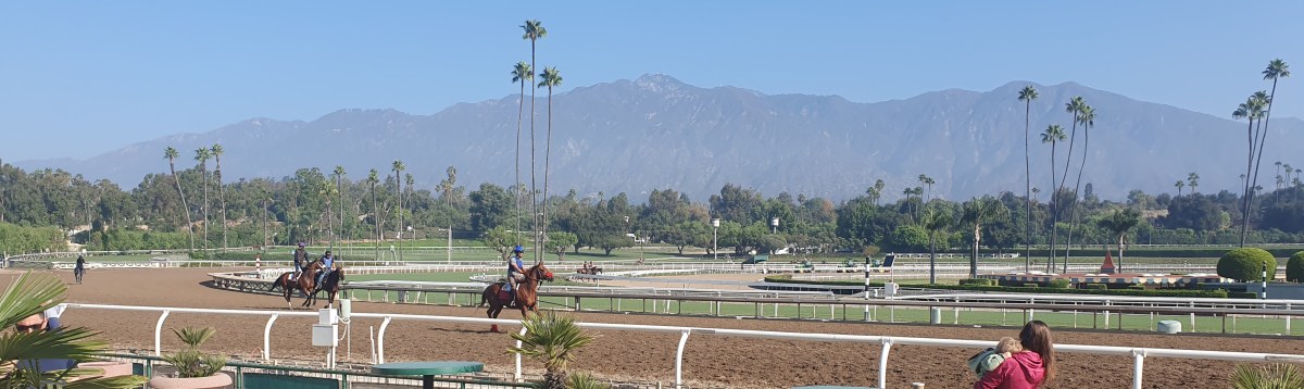 Clocker’s Corner – Llywindatravels 2024