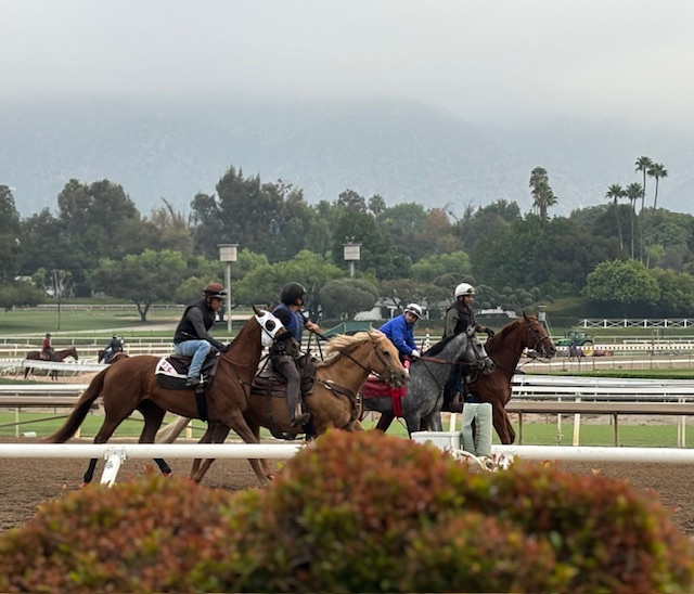 Clocker’s Corner – Llywindatravels 2024